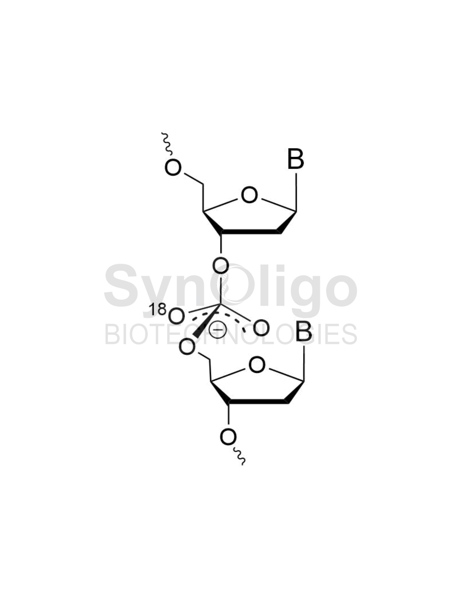 Using 18O as a Stable Isotopic Label in Therapeutic Oligonucleotides ...
